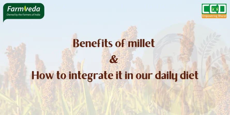 Benefits of millet and how to integrate it in our daily diet – farmveda
