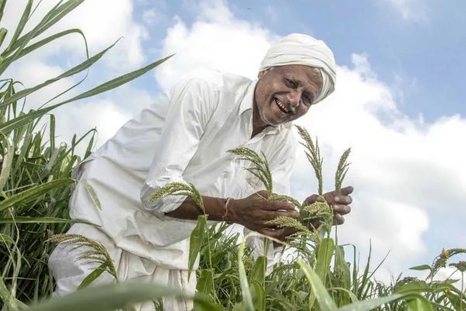 Koralu (Brown Top Millet) - The brown and the beautiful – farmveda