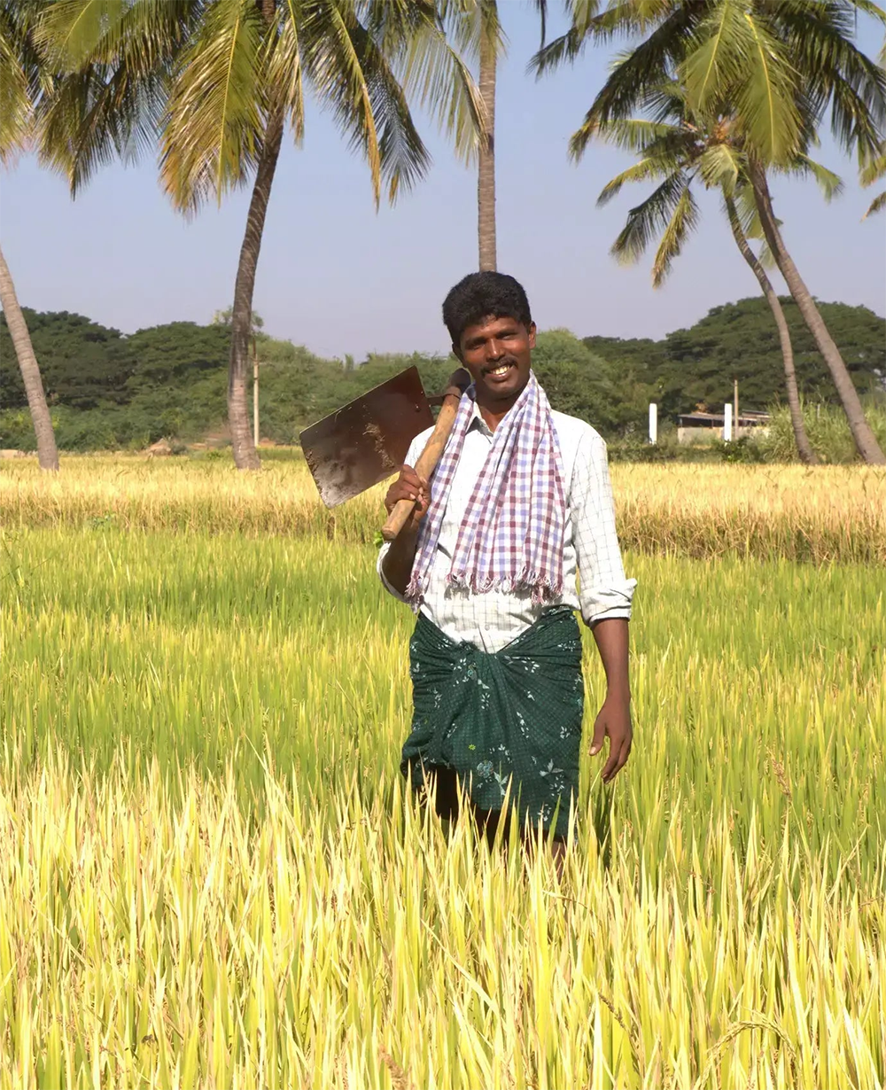 About Us – farmveda